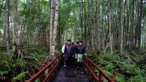 10 Tempat Wisata Tembilahan, Inhil yang Sedang Populer - WisataLombok.co.id