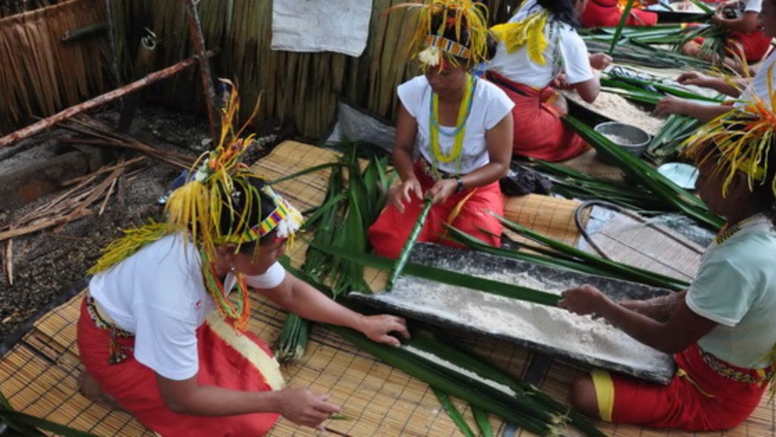 10+ Oleh Oleh Khas Kabupaten Kepulauan Mentawai, Wajib Dibeli! - WisataLombok.co.id